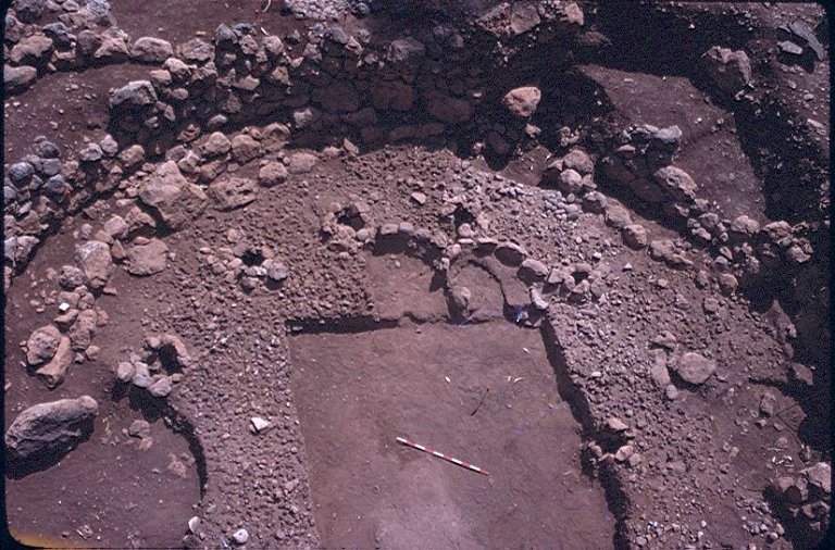 The Natufian Culture | מוזיאון האדם הקדמון